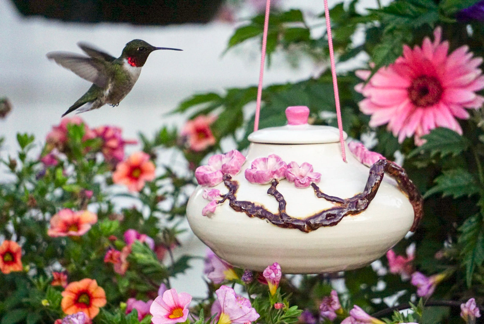 Hummingbird Feeders by Hummingbird Pots